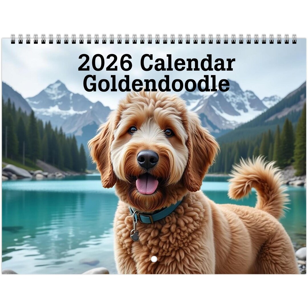 Goldendoodle Dog 2026 Wall Calendar – Dog Lover Gift - 11" X 8.5" - Etsy