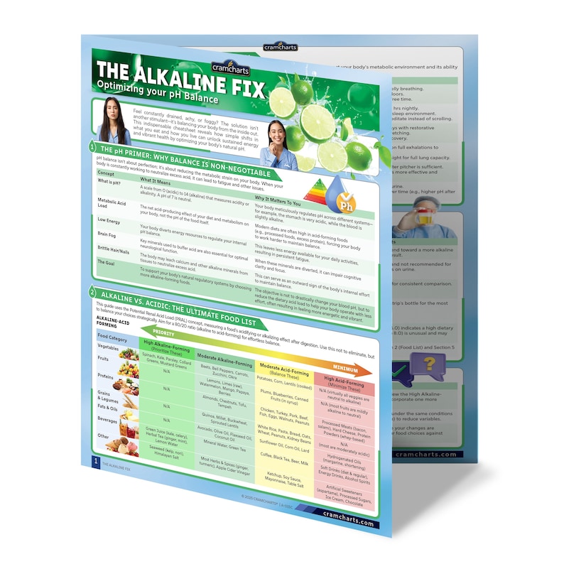 The Alkaline Fix Quick Reference Guide by Cramcharts – Ph Balance Food ...