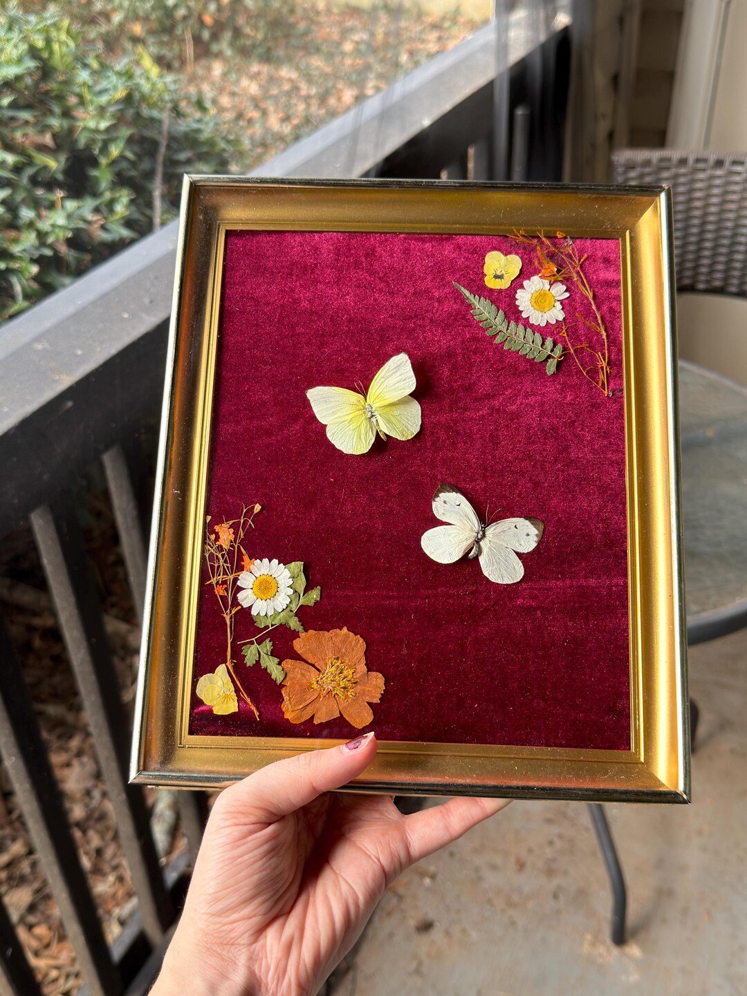 Vintage Gold MCM Butterfly Shadow Box • Gothic Victorian Entomology Art ...