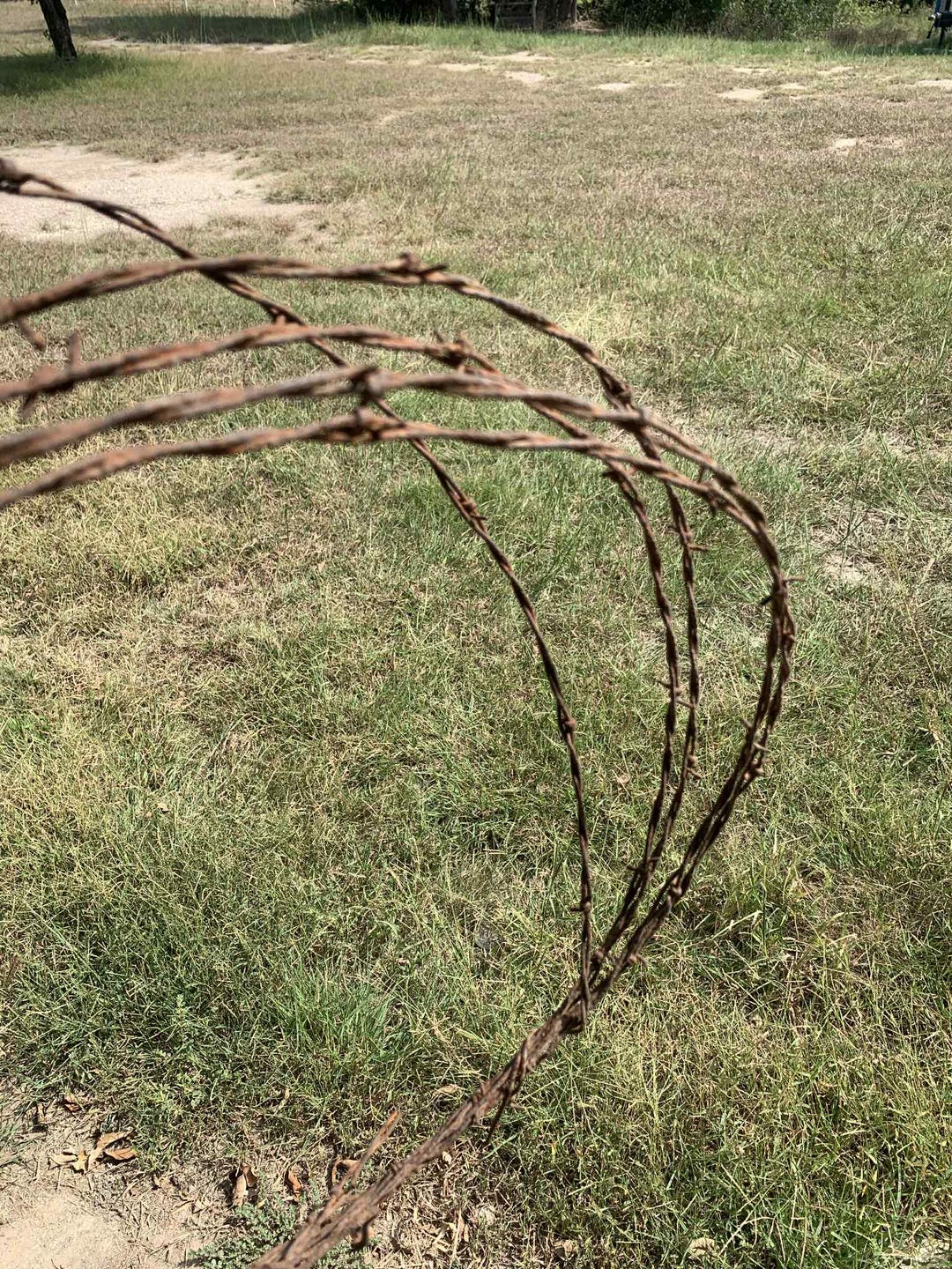 Rusty Texas Barbed Wire - Salvaged Farm Fence, Rustic Western Decor, 9 ...