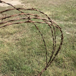 Rusty Texas Barbed Wire - Salvaged Farm Fence, Rustic Western Decor, 9 ...