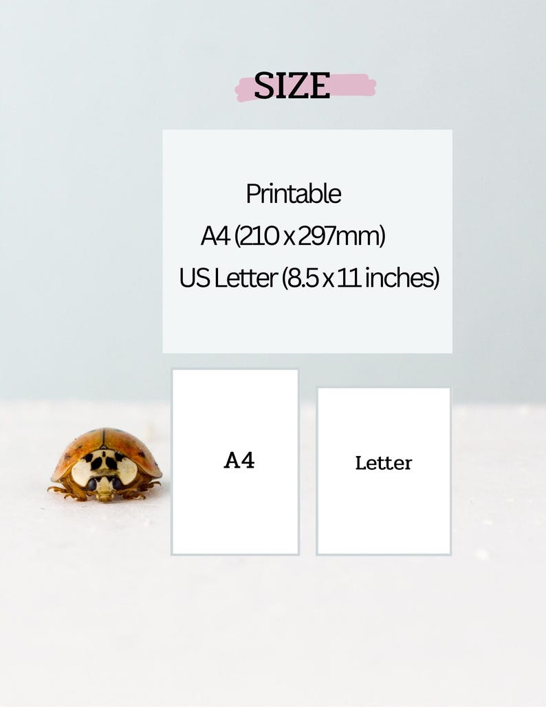Habit Tracker Printable A4 & US Letter | Weekly Habit Tracker PDF ...