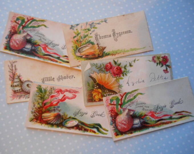6 Victorian Sea Shell Calling Cards - Etsy
