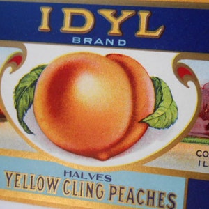 1920s Lovely Idyl Brand Edwardian Yellow Peach Lithograph Label - Etsy