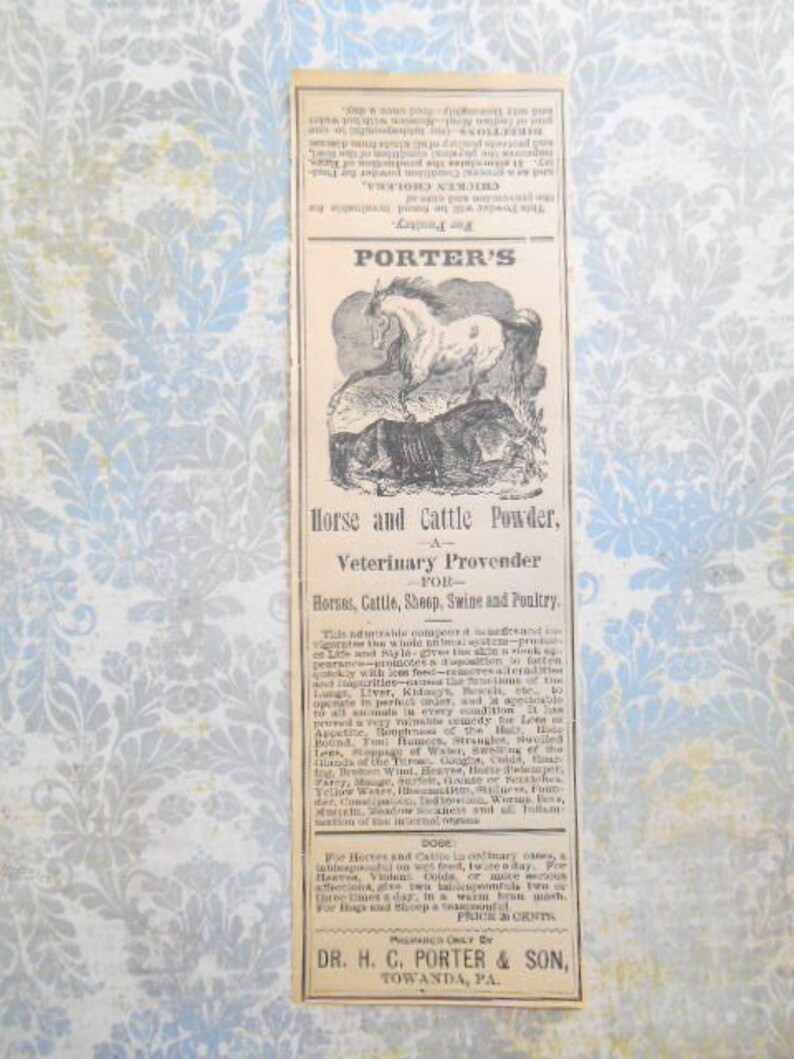 1800s Porter's Horse and Cattle Powder Towanda PA Box Label Quack Vet ...