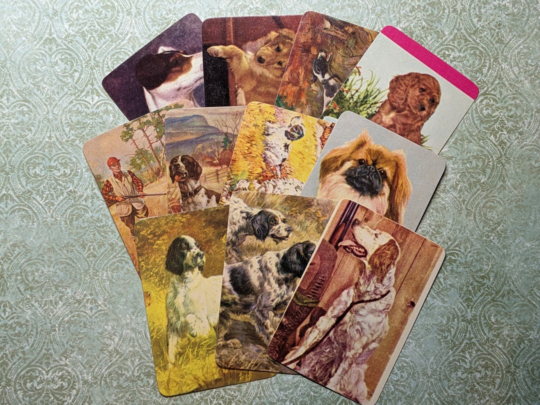 11 Vintage Playing Card Calendar Stock Backs Dogs Card Swap NOS - Etsy