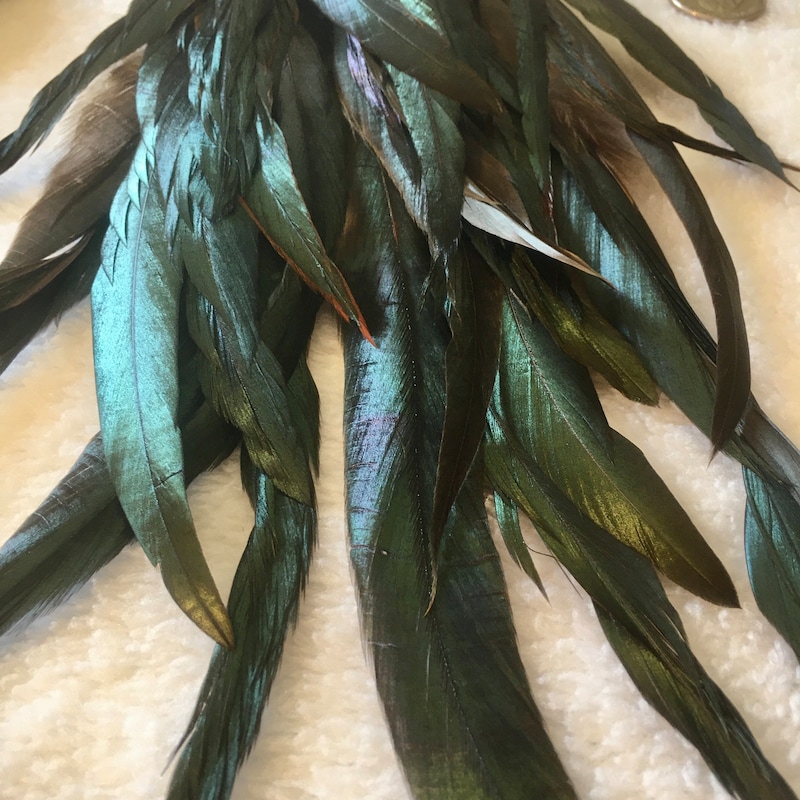 Black Iridescent Feathers - Etsy