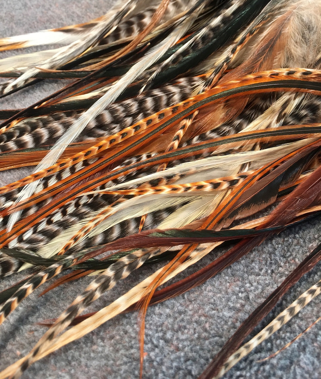 12 Long Wide Feather Hair Extensions 6" to 8" Grizzly Barred - Furnace ...