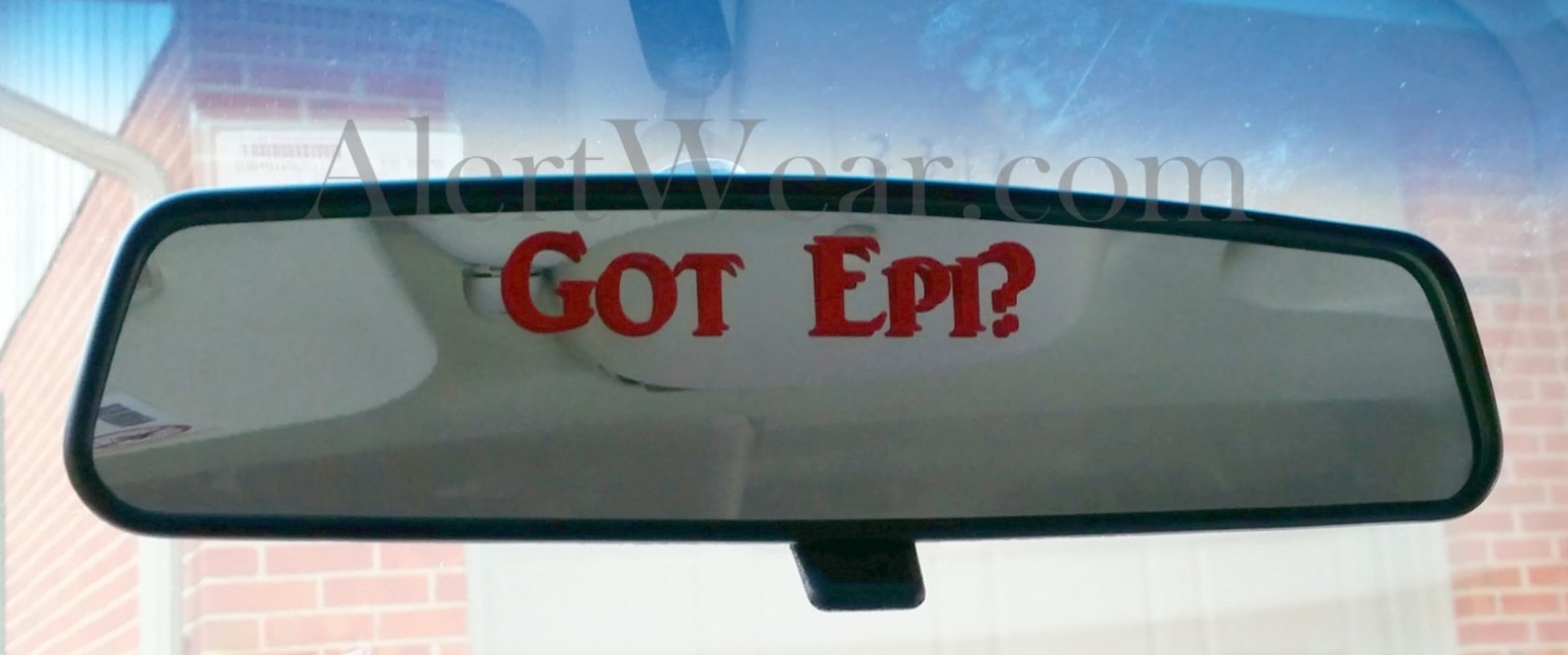 Got Epi Sign Decal Vinyl Sign Reminder for Epipens - Etsy