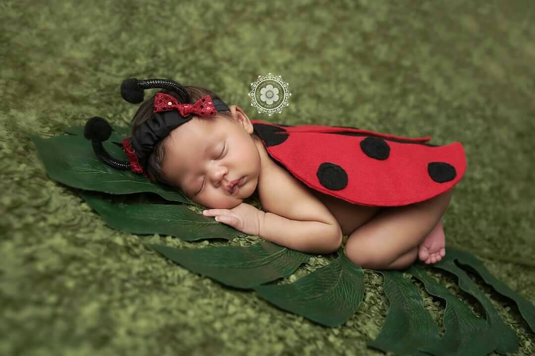 Newborn Ladybug Photo Prop Ladybug Prop Outfit Ladybug Newborn Set - Etsy