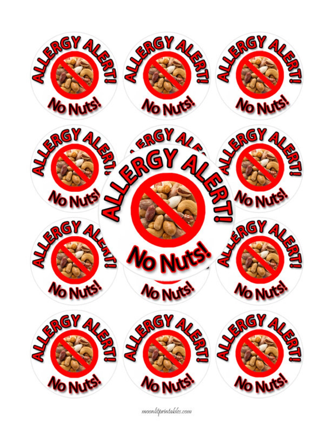 No Nuts Sticker, Allergy Sticker, Nut Allergy Sticker, Allergy Alert ...