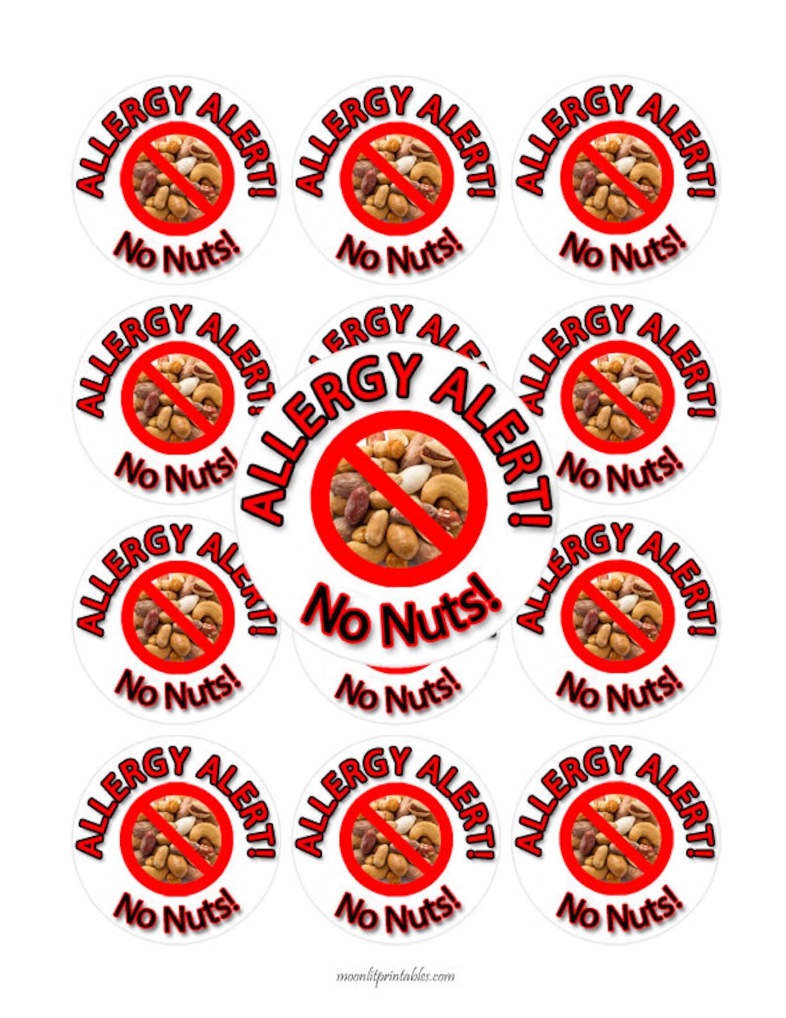 No Nuts Sticker Allergy Sticker Nut Allergy Sticker Allergy - Etsy