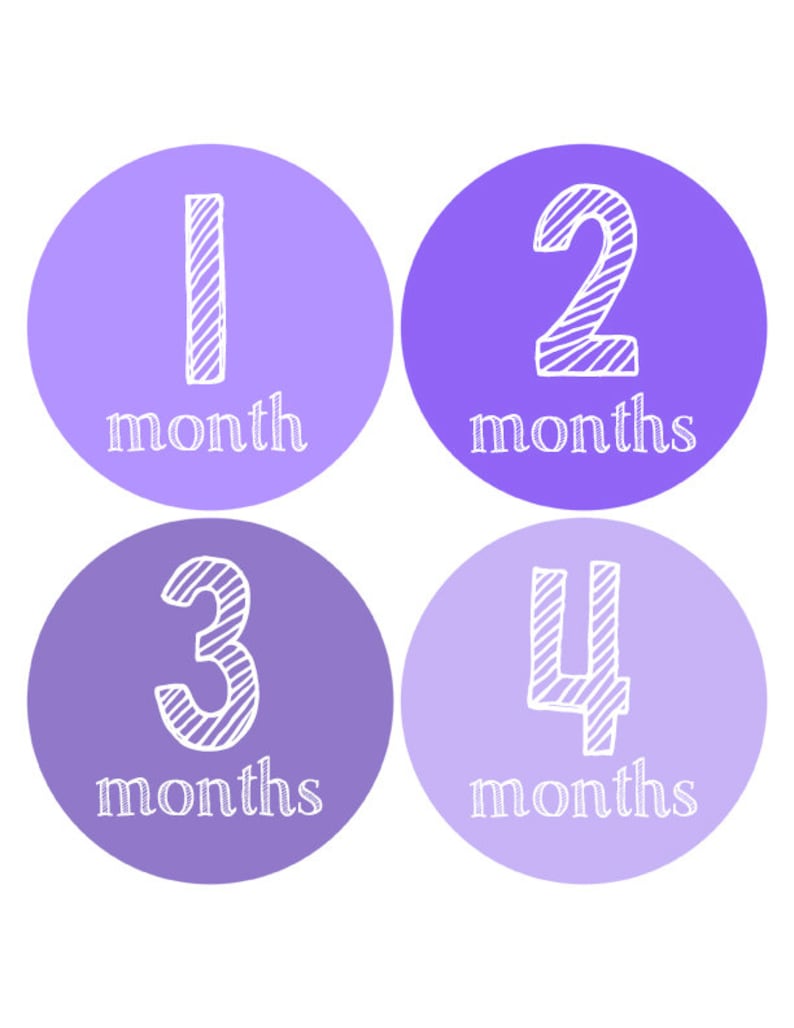 Purple New Baby Sticker Lavender Monthly Age Stickers | Etsy