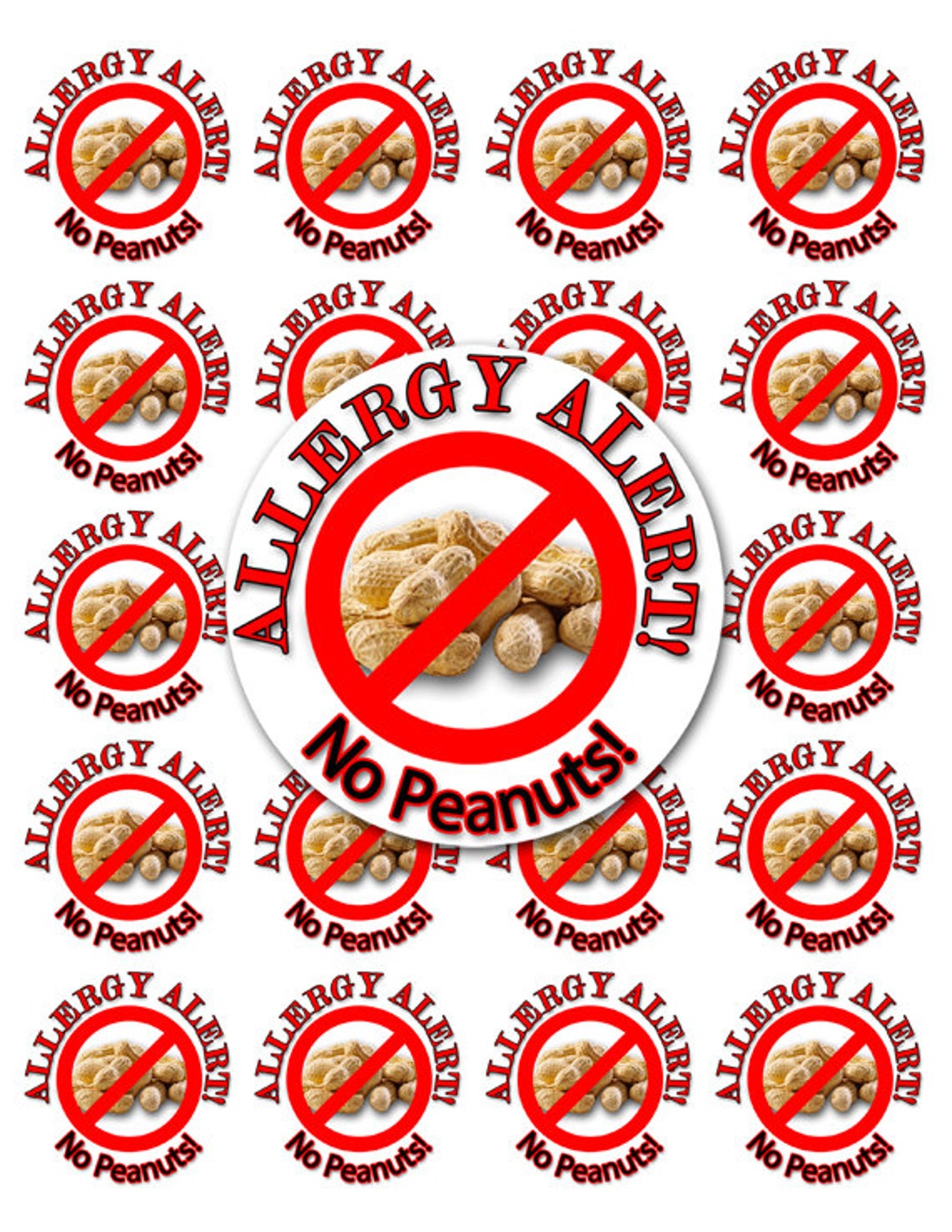 No Peanuts Sticker, Allergy Sticker, Peanut Allergy Sticker, Allergy ...