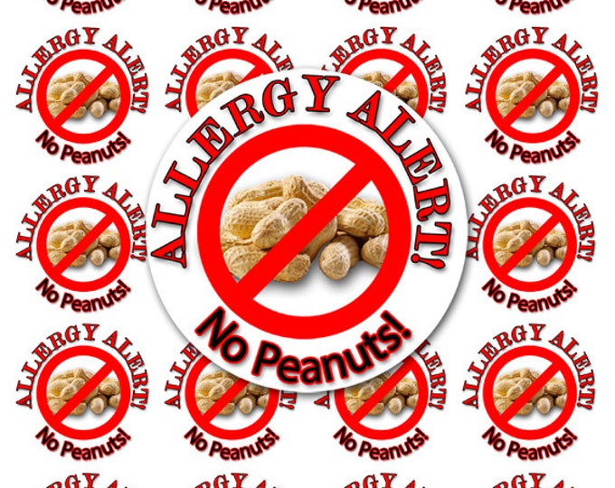 No Peanuts Sticker Allergy Sticker Peanut Allergy Sticker | Etsy