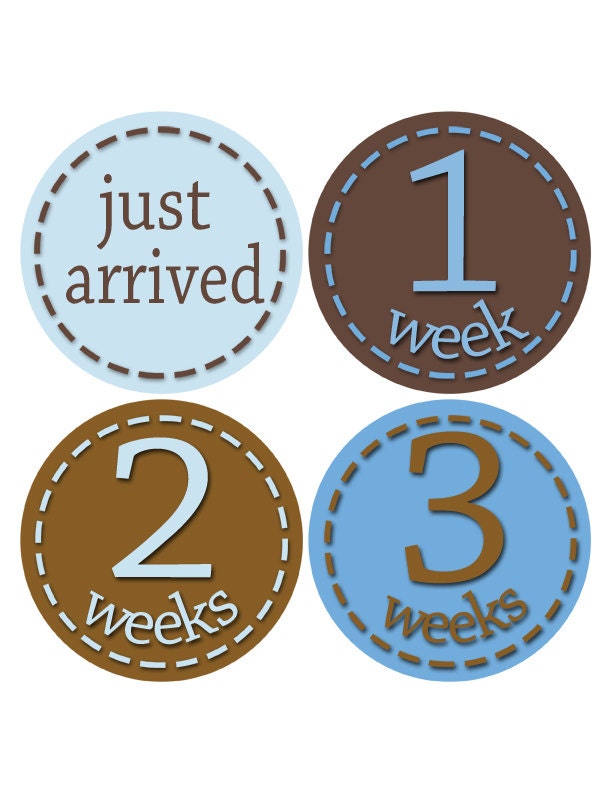 Brown and Blue Baby Stickers 1 to 12 months Photo Props | Etsy