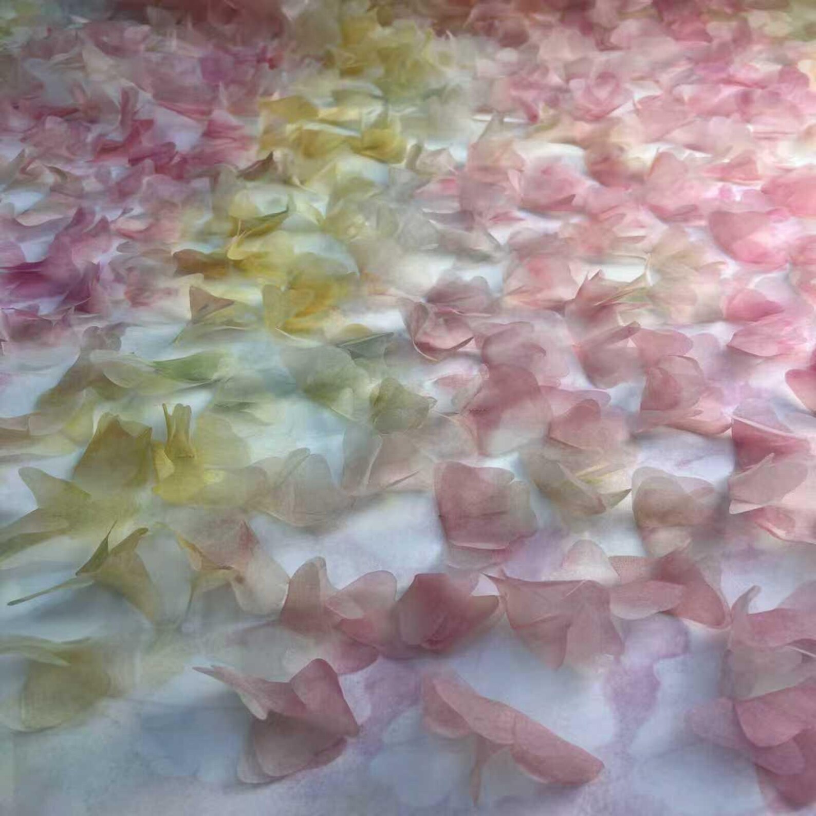 Touchable 3D Floral Embroidery Fabric - Petal Detail Textile for ...