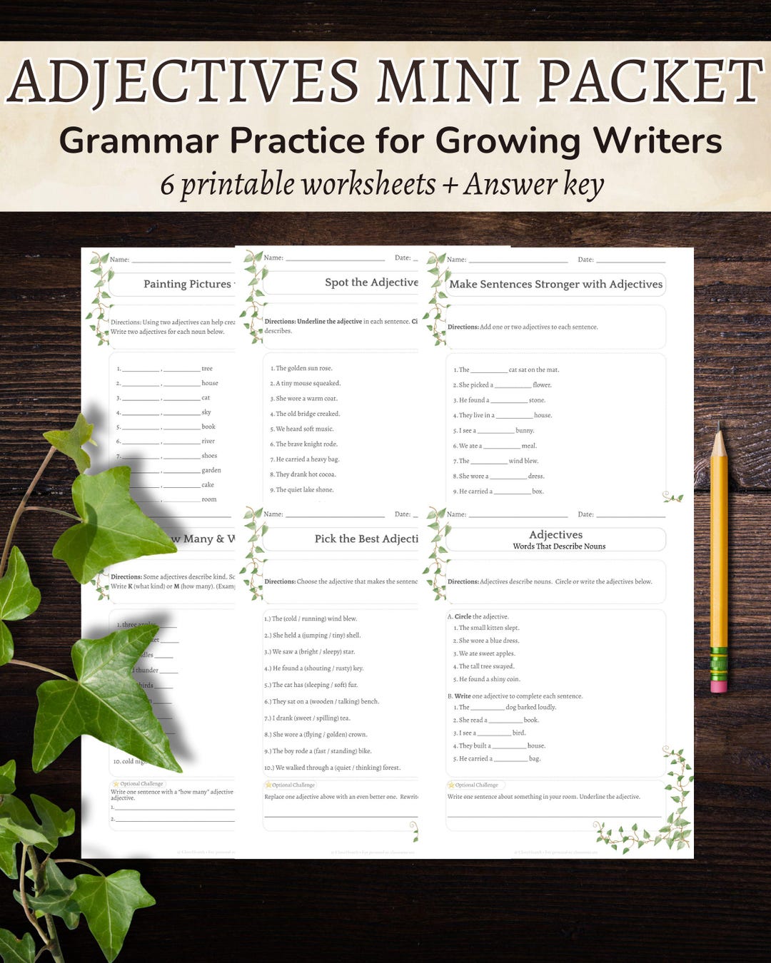 Adjectives Mini Packet | Printable Grammar Worksheets for Elementary ...