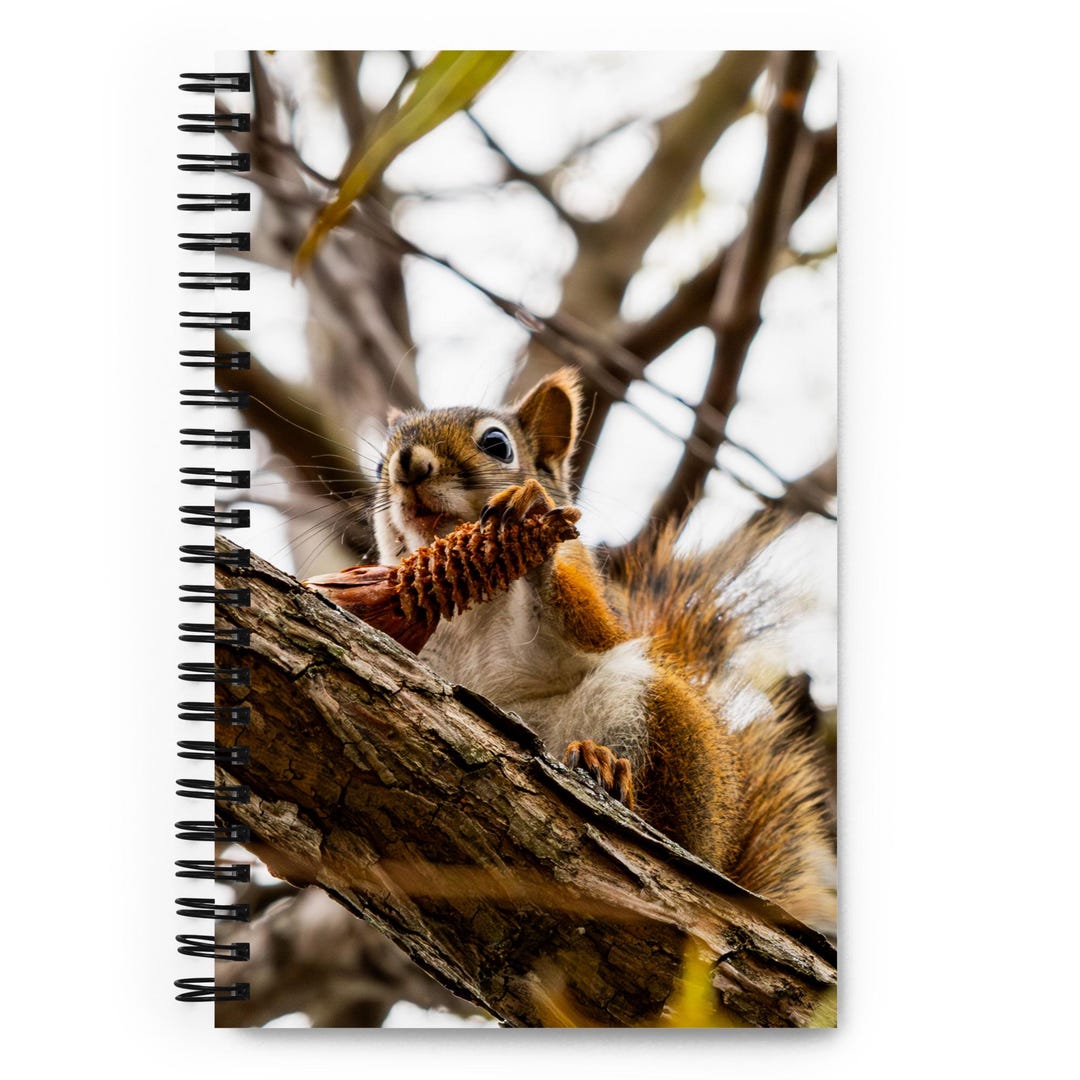Squirrel Spiral Notebook | Wildlife Nature Journal | Cute Animal ...