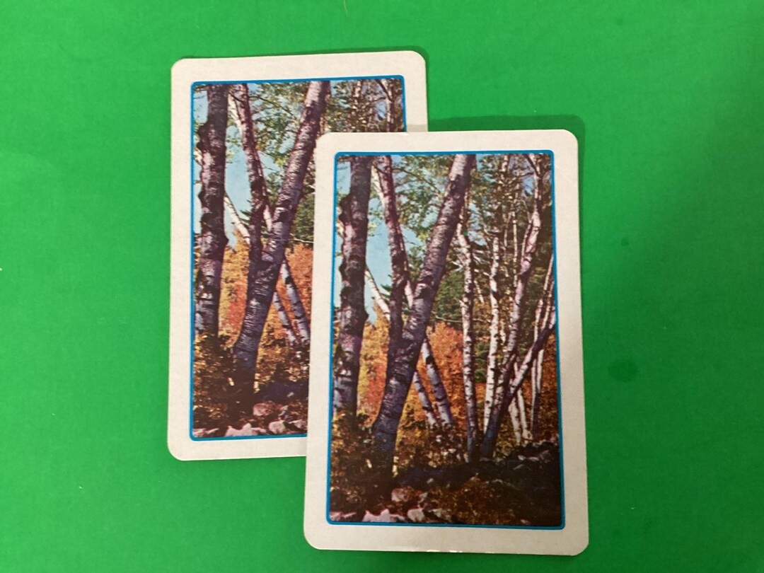 Vintage Playing Cards, New Old Stock, Trees Fall Scene Junk Journal ...