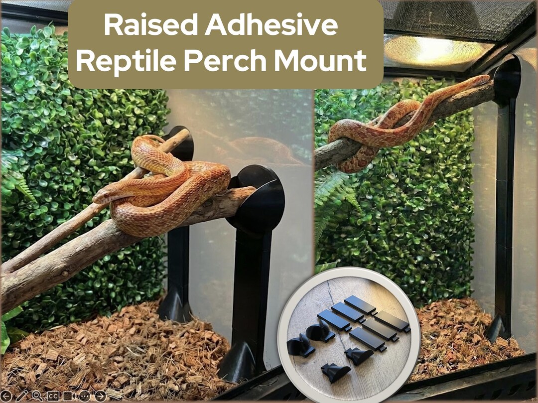Adjustable Reptile Perch Stand (set of 2) - Floor Mounted Vivarium ...