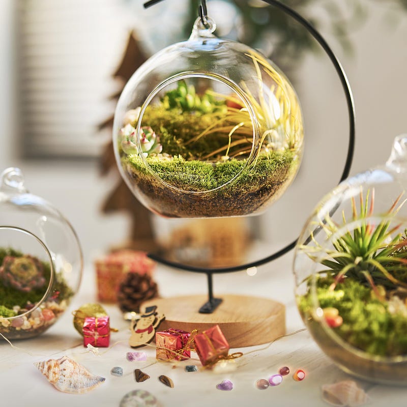 Glass Terrariums Kit - Etsy