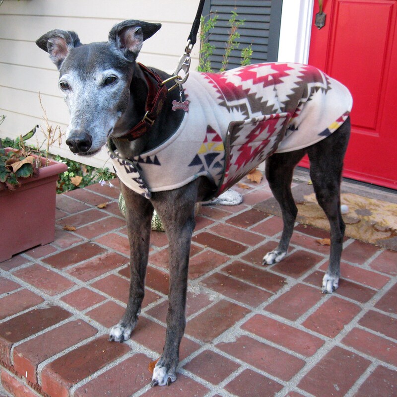 Pendleton Dog Coat - Etsy