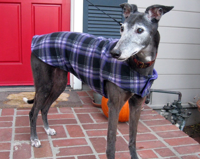 Greyhound Jacket | XL Dog Jacket | Dog Coat | Purple, Black, Gray and ...