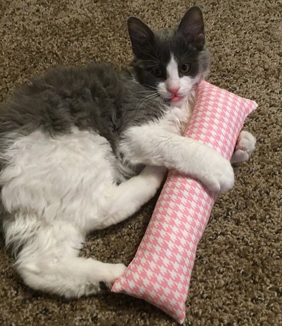 Kitty Kicker Cat Toy Catnip Toy Cat Kicker Gray and White | Etsy