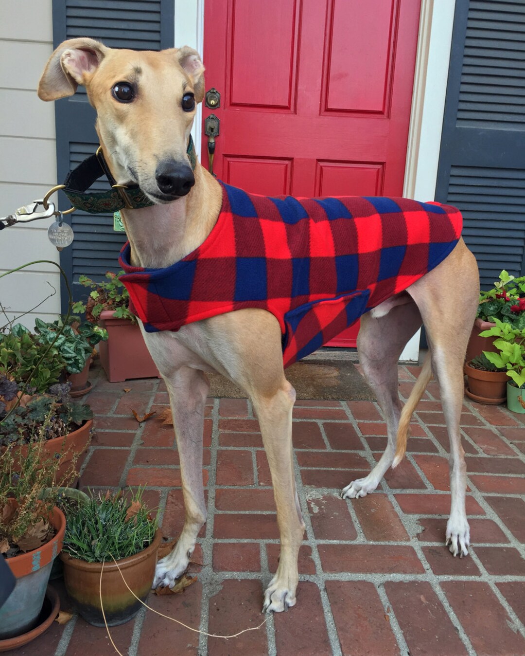 Greyhound Coat | Dog Coat, XL Dog Jacket | Red and Navy Buffalo Plaid ...