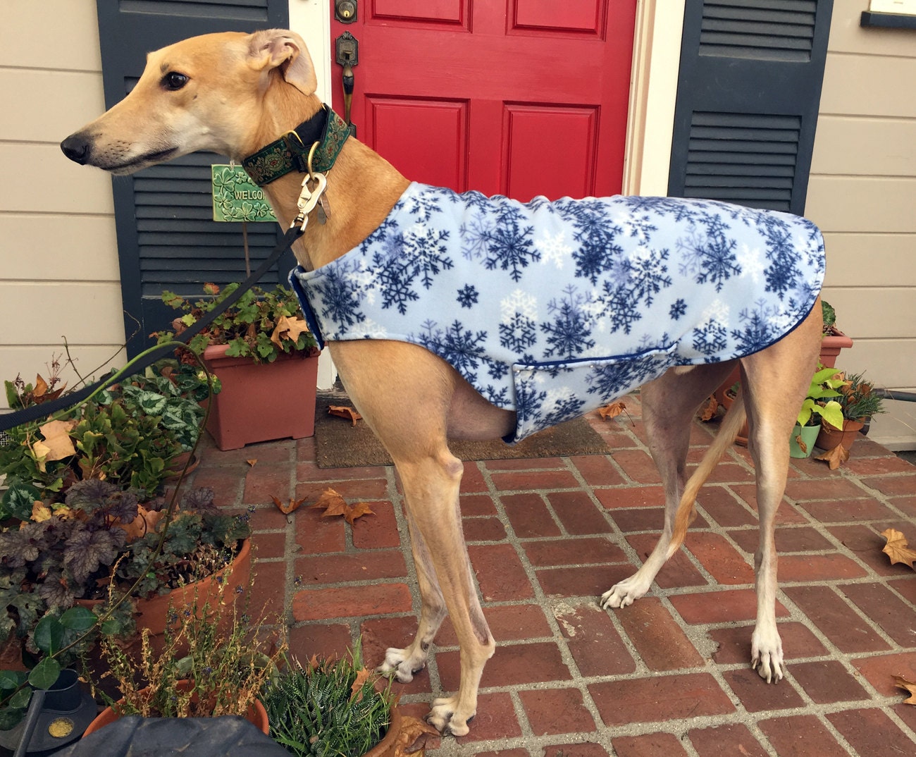 Greyhound Coat | XL Dog Coat | XL Dog Jacket | Baby Blue, Navy, and ...
