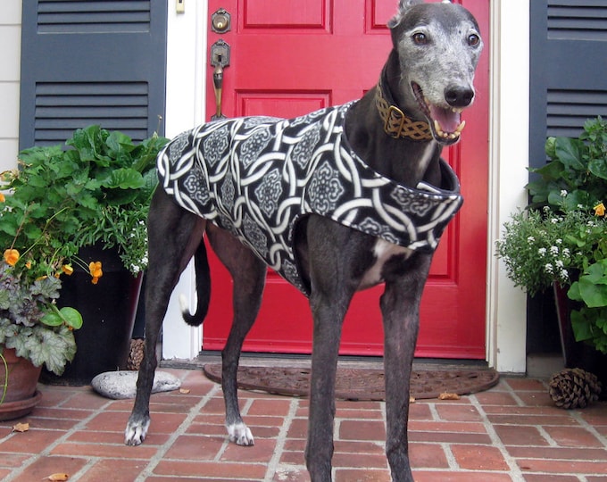 Custom Greyhound Dog Coat & Jacket XL Dog Coat Sighthound - Etsy