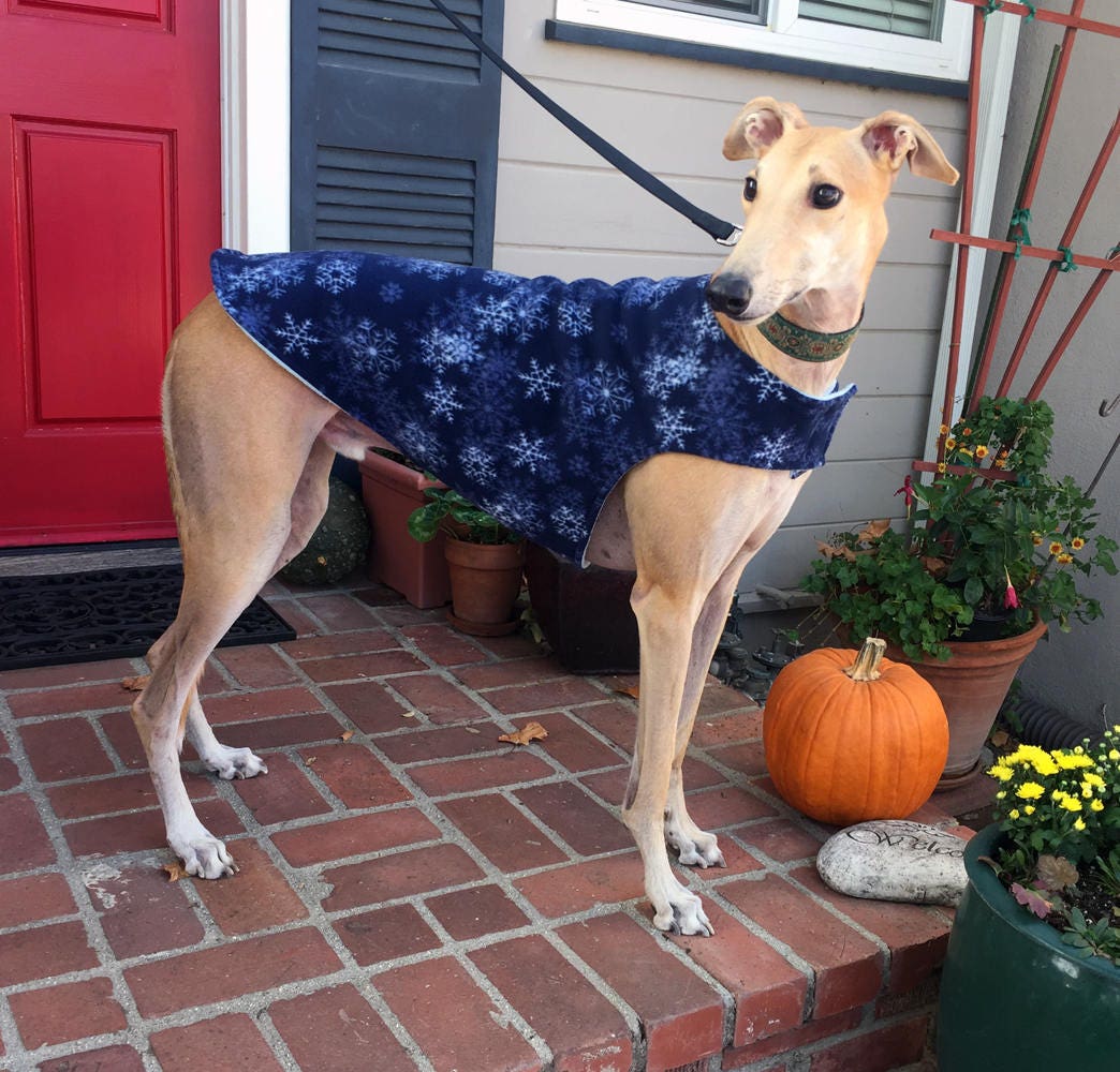 Greyhound Coat Extra Large Dog Coat Big Dog Jacket Navy | Etsy