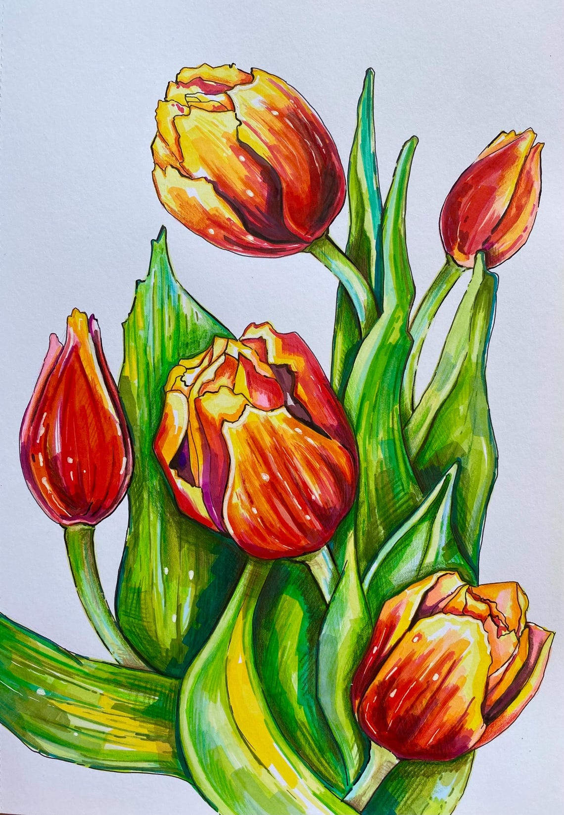 Tulip Splash, A4 Marker Artwork - Etsy