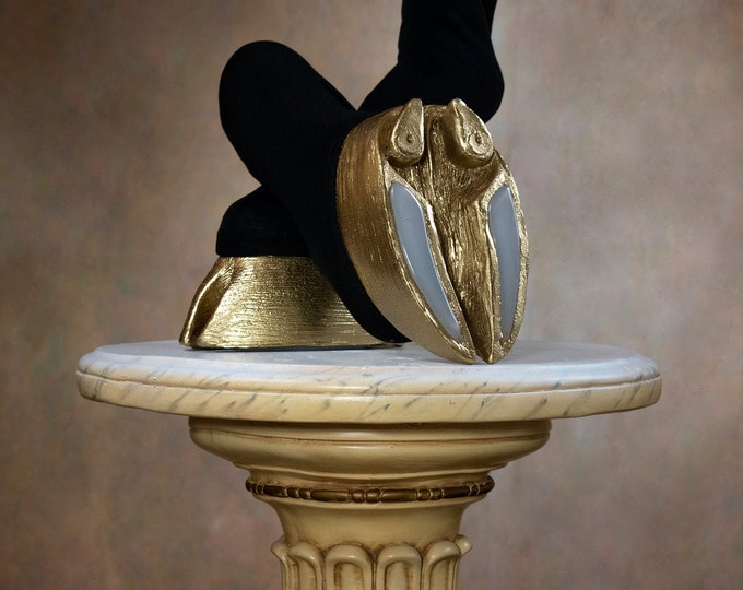 Faun Shoes, Ready 39 EU/7.5US/5.5 UK, Hoof Shoes, Cosplay Hoof, Animals ...