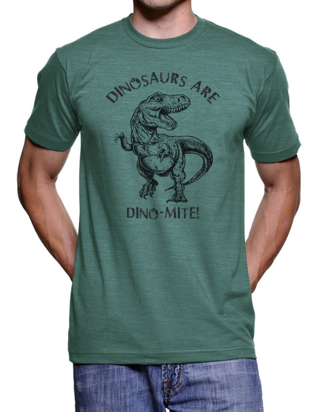Dinosaur Shirt, Dinosaur Birthday Party Shirt, Dino Shirt, Trex Shirt ...