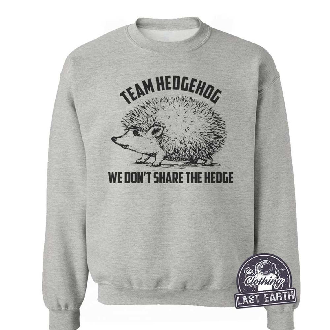 Hedgehog T-Shirt Funny Animal Shirts Hoodie Tank | Etsy