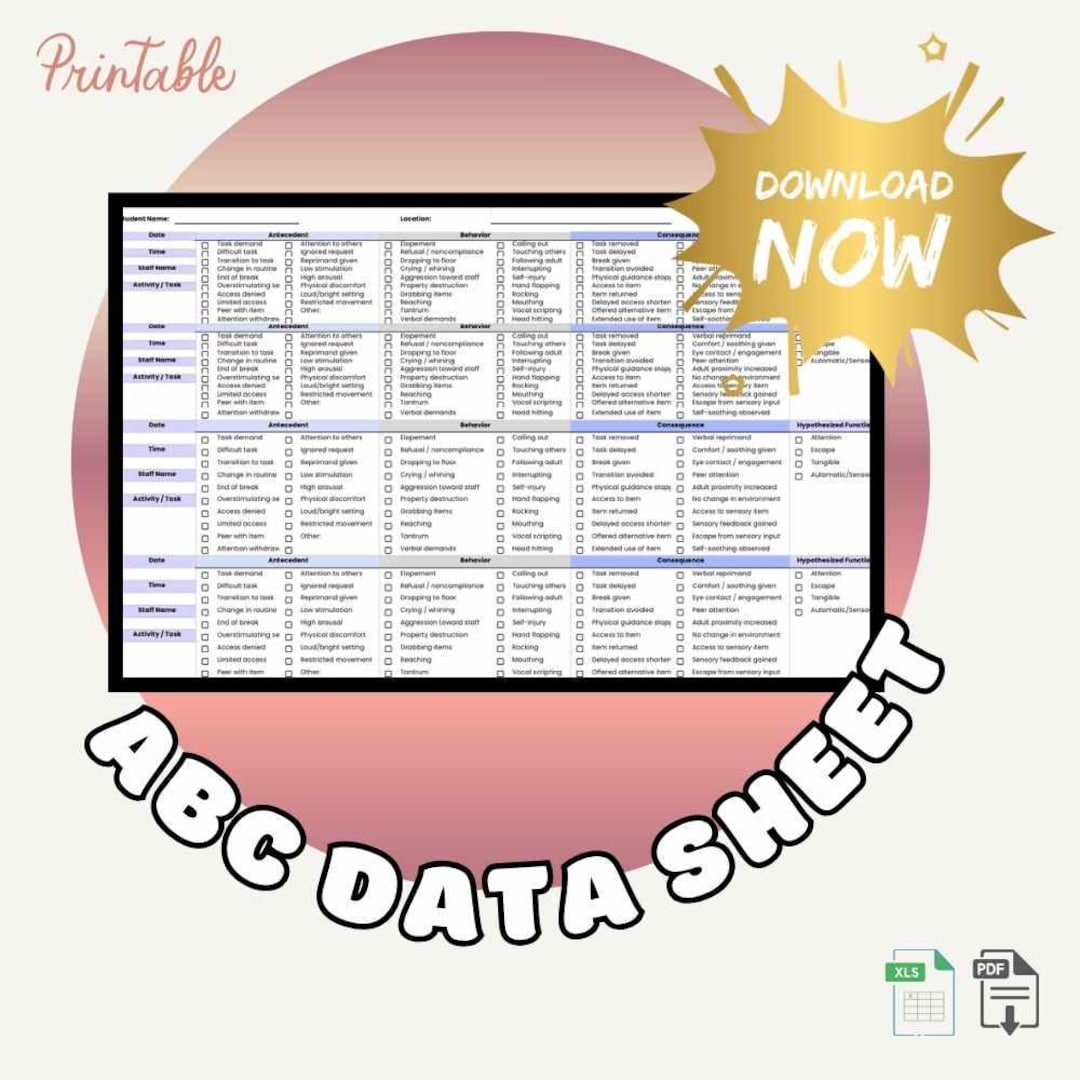 ABC Data Sheet | Editable Excel + Printable PDF | Data Collection Tool ...