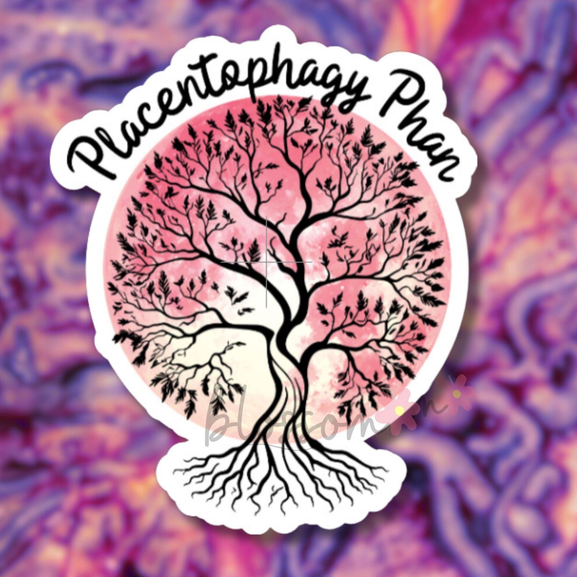 Placenta Tree of Life Stickers for Encapsulation Professionals, Birth ...