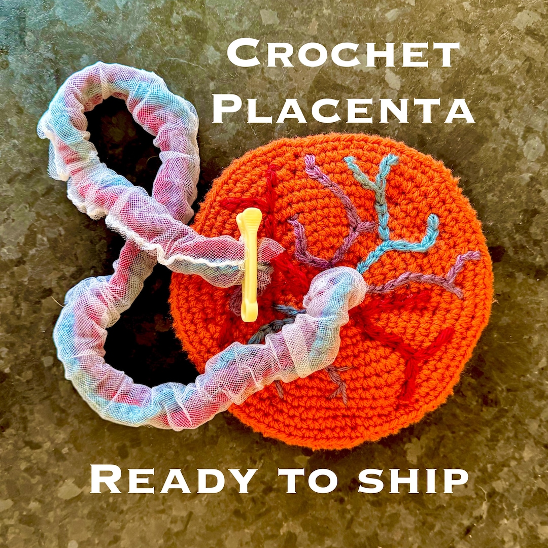 Crochet Placenta Anatomy Teaching Model for Childbirth Education ...