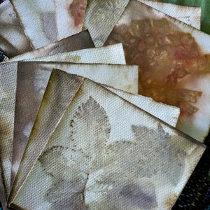 Plant Dyed Paper Eco Printed Hand Dyed Collage Art Journal Mixed Media ...