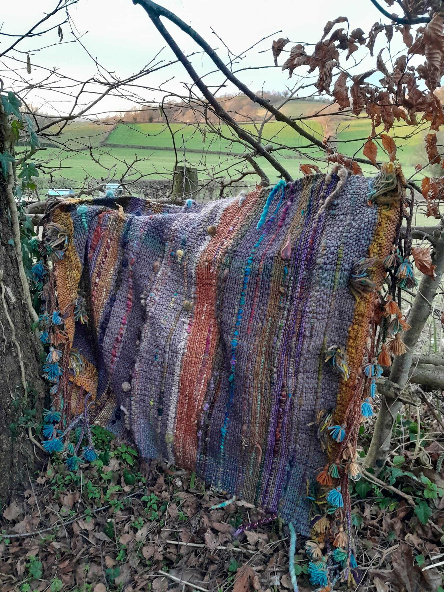 Handwoven Rug Magic Carpet Woven Handspun Art Yarn Weaving Plant Dyed ...