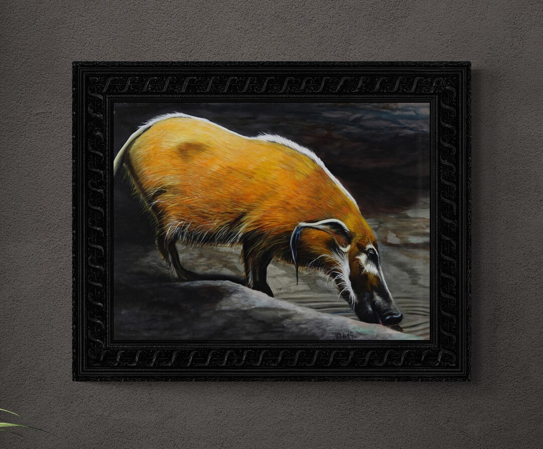 RED RIVER HOG - Oil on Canvas Painting - Etsy