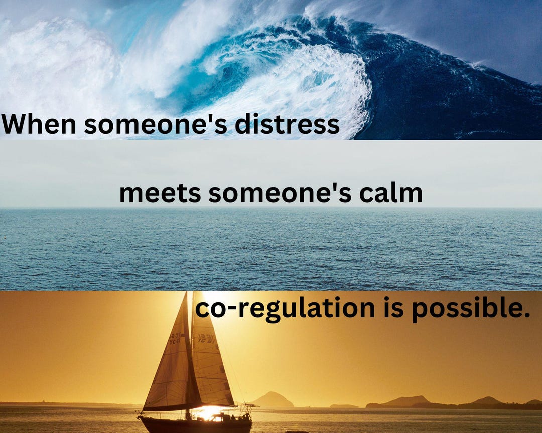 Visual Representation of Co-regulation - Etsy