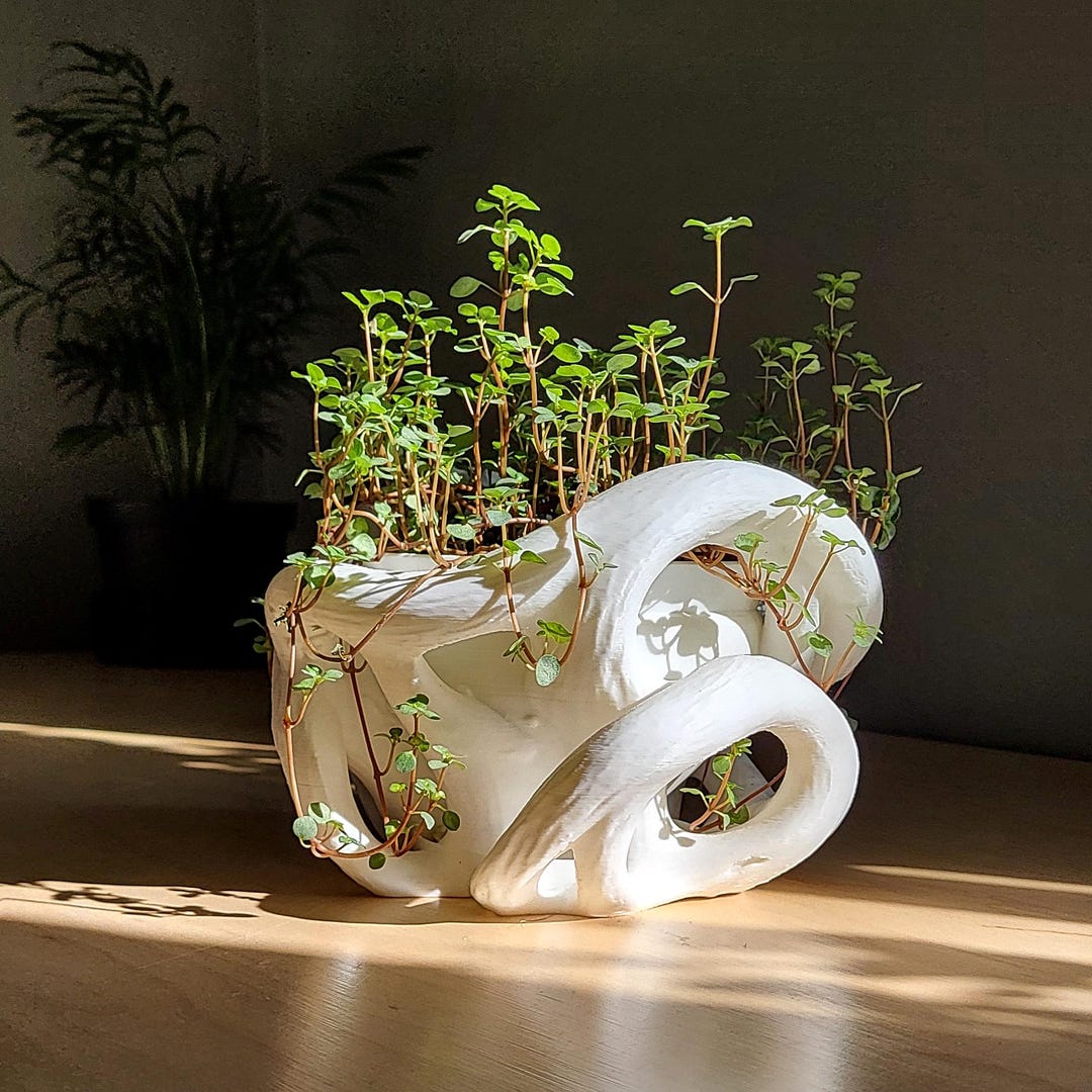 Helix Sculptural Planter, 8" Architectural Planter With Hidden Water ...