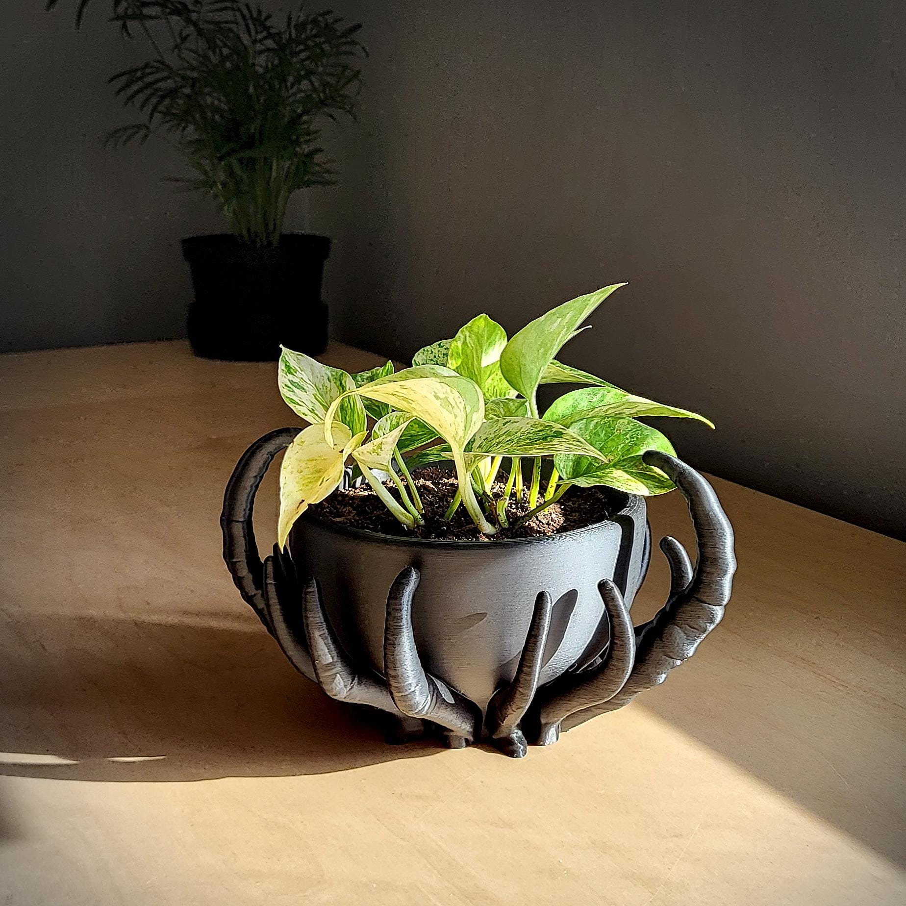 Sculptural Planter "noctaura", 9 Inch Gothic 3D Printed Pot for ...