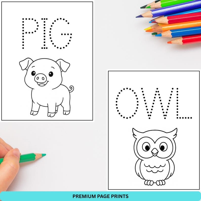 Traceable Shapes and Animal Names Bundle | Printable Tracing Worksheets ...