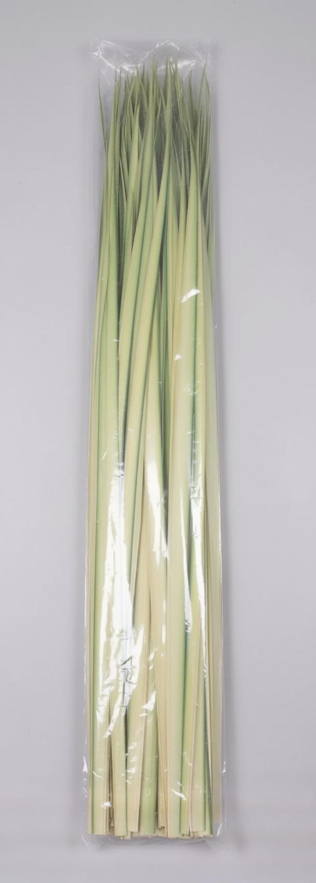 Fresh Palm Strips for Church, Crafts, Basket Weaving (24"-36") - Etsy