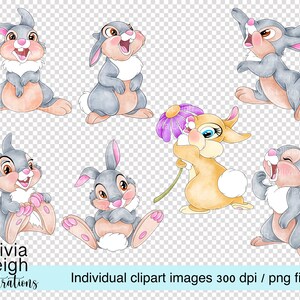 Thumper Bunny Rabbit Cute Clipart Set PNG Clipart Files DIGITAL ...