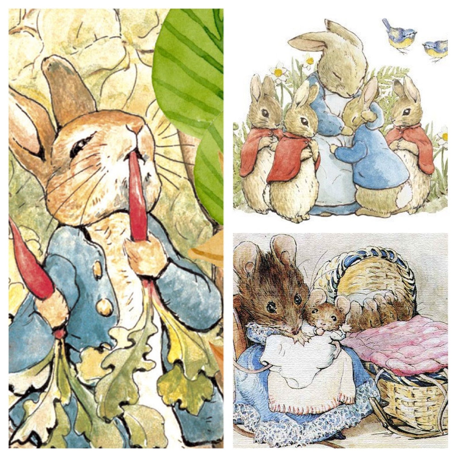 Beatrix Potter Fabric Peter Rabbit - Etsy